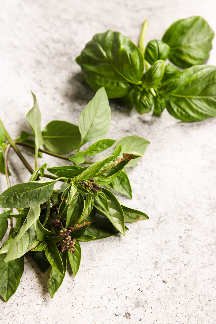Thai Basil vs. Basil - The Culinary Compass