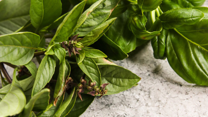 Thai Basil Chicken Recipe | The Culinary Compass