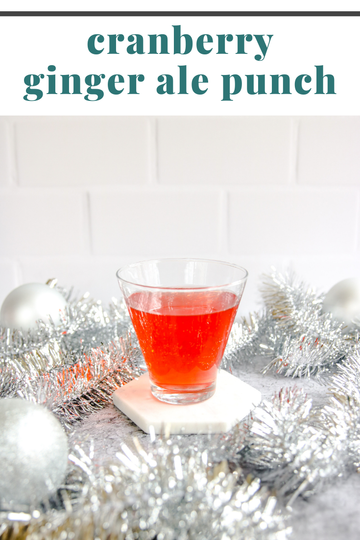 Cranberry Ginger Ale Punch - The Culinary Compass