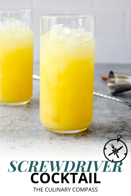 Screwdriver Cocktail Recipe - The Culinary Compass